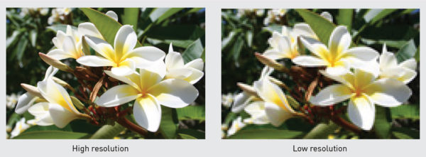 5 Keys to Selecting Great Calendar Images - Calendar Print