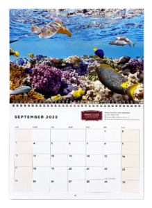 Custom Calendar Printing Australia | Bulk Calendars | CalendarPrint