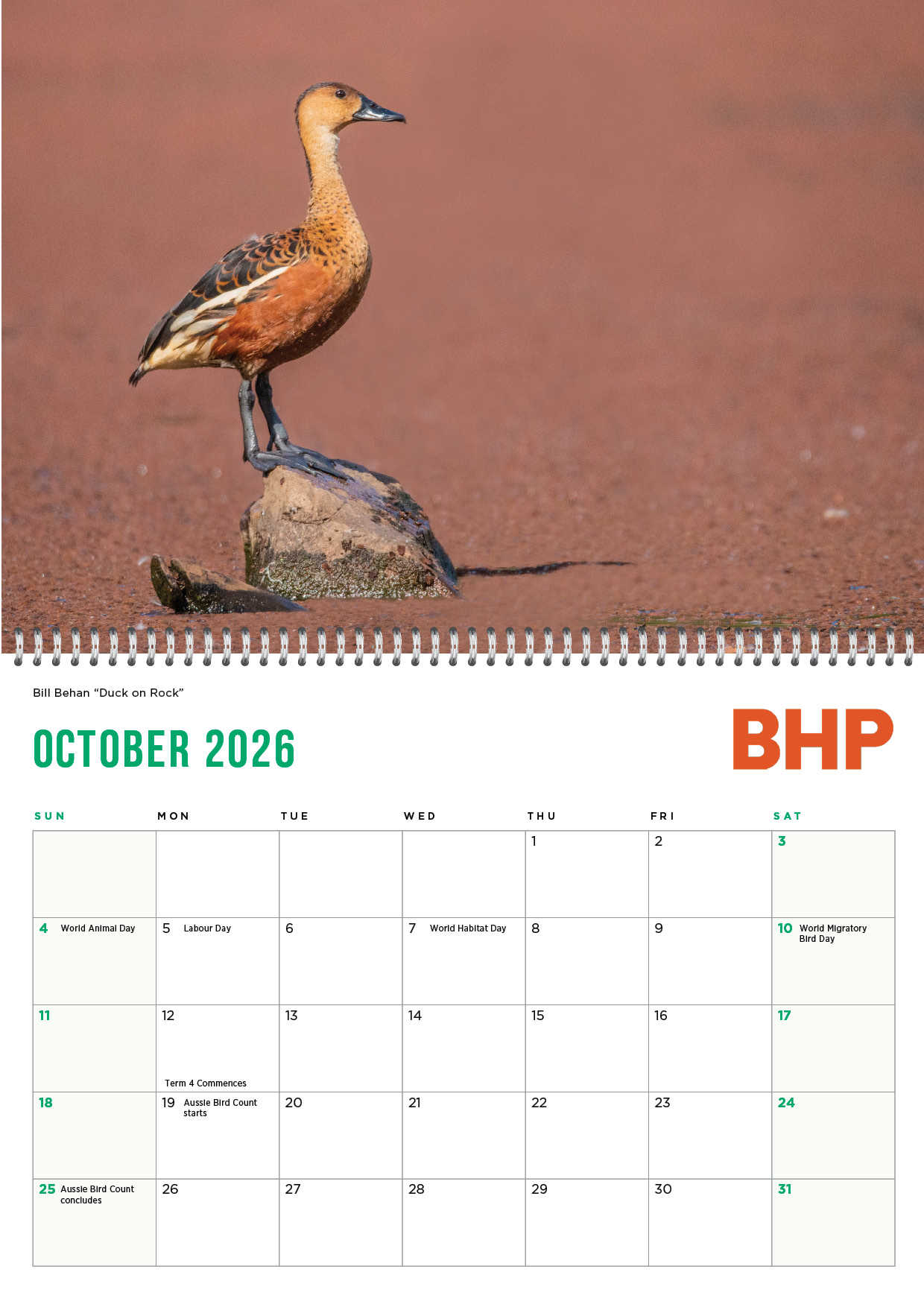 Custom Calendar Printing Australia | Bulk Calendars | CalendarPrint